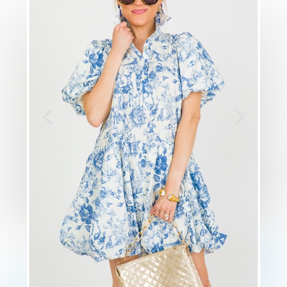 entro | Dresses | New Blue Toile Floral Bubble Puff Sleeve Dress | Poshmark
